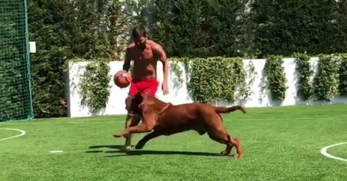 Messi dribbla il suo cane Hulk | Radio Deejay
