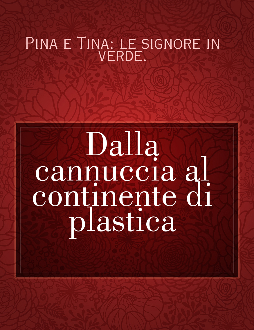 Dalla cannuccia al continente di plastica, il racconto di Pina e Tina ...